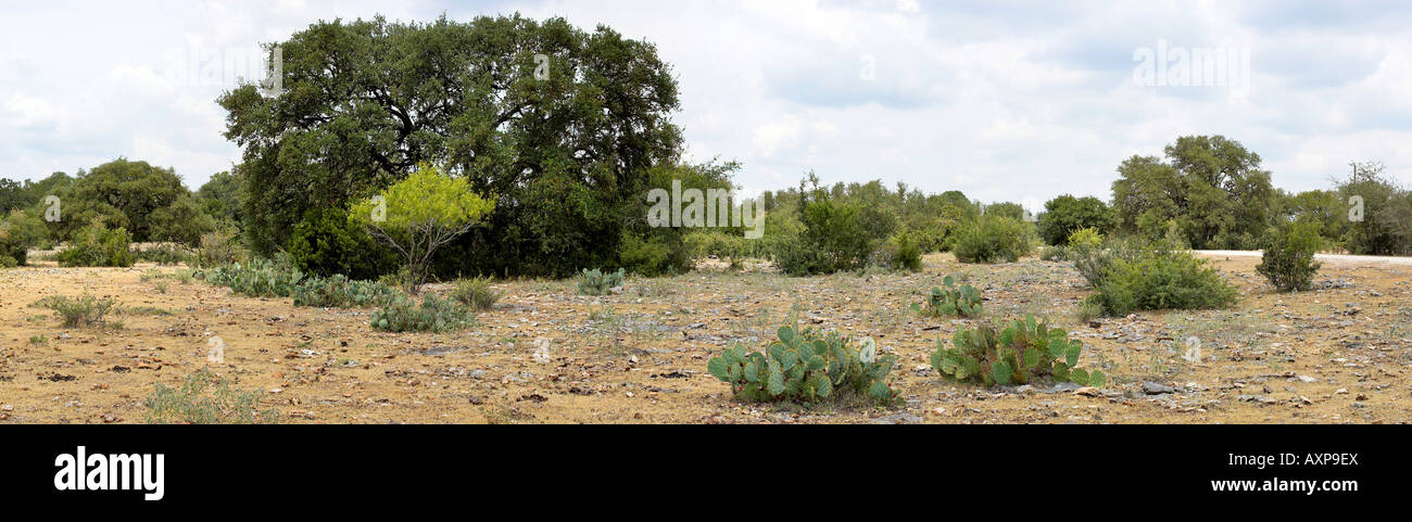 Texas countryside panorama Stock Photo - Alamy