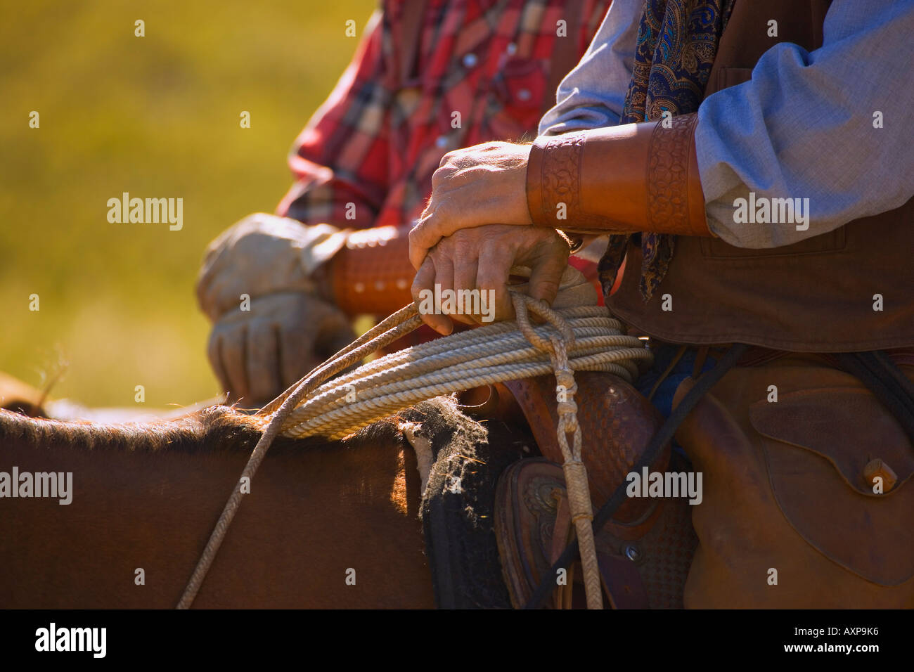 Cowboys on Horseback Stock Photo - Alamy