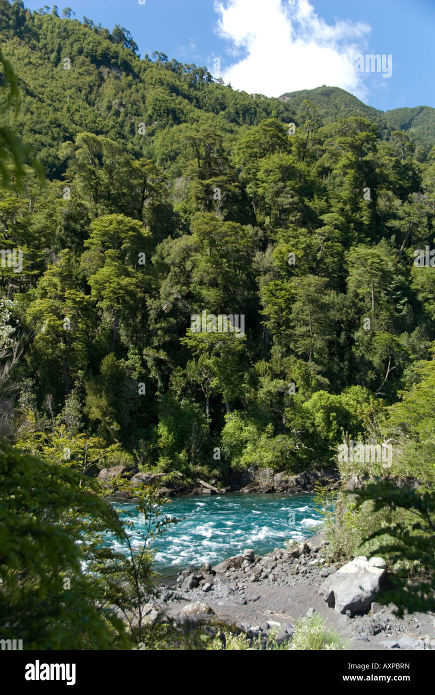 Chile Lake District Stock Photo - Alamy