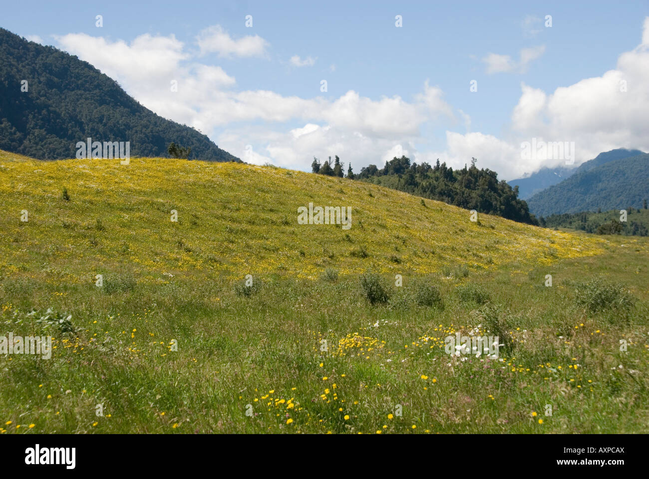 Chile Lake District Stock Photo - Alamy