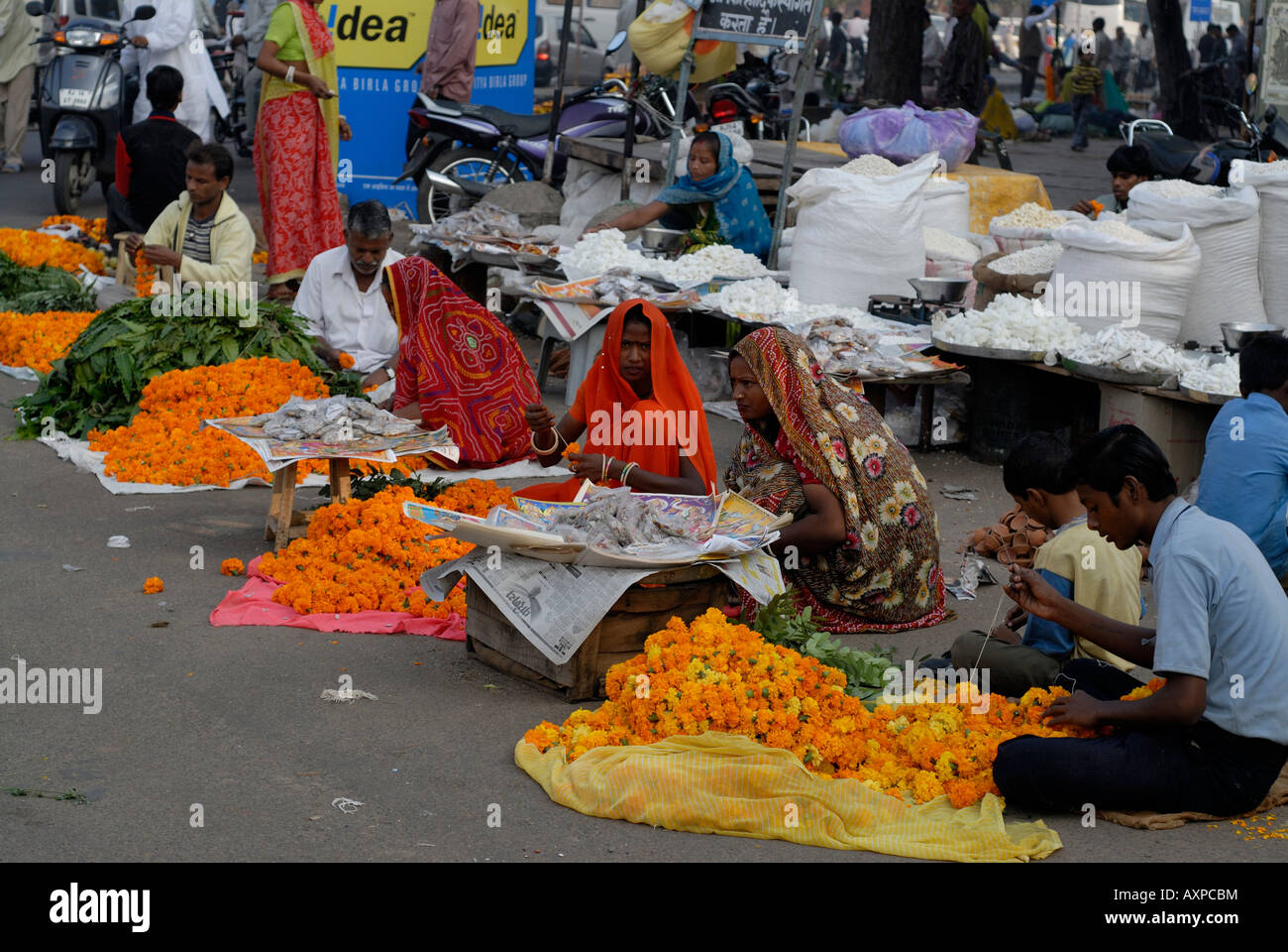 Flower garland sellers in a street in Jaipur Rajasthan India prior to ...