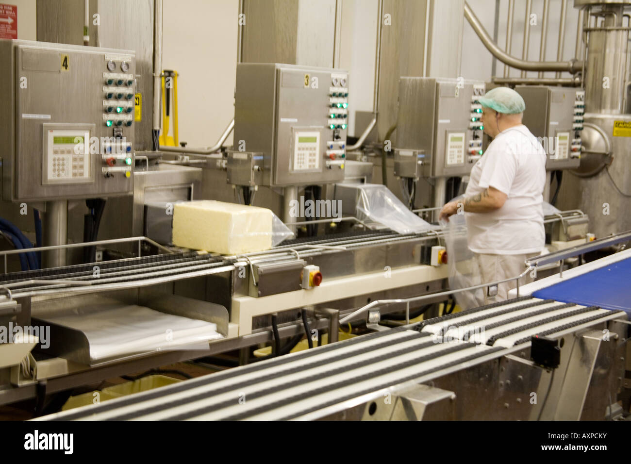 Blocks of cheddar on conveyor belt in Cheese factory processing plant ...