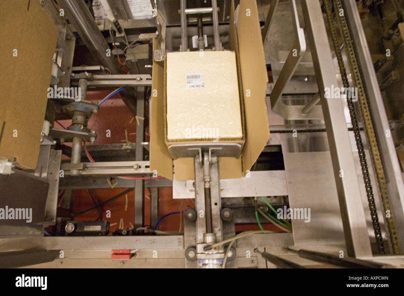 Blocks of cheddar on conveyor belt in Cheese factory processing plant ...