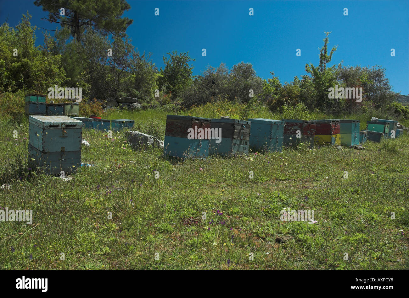 Traditional Greek beehives Stock Photo - Alamy