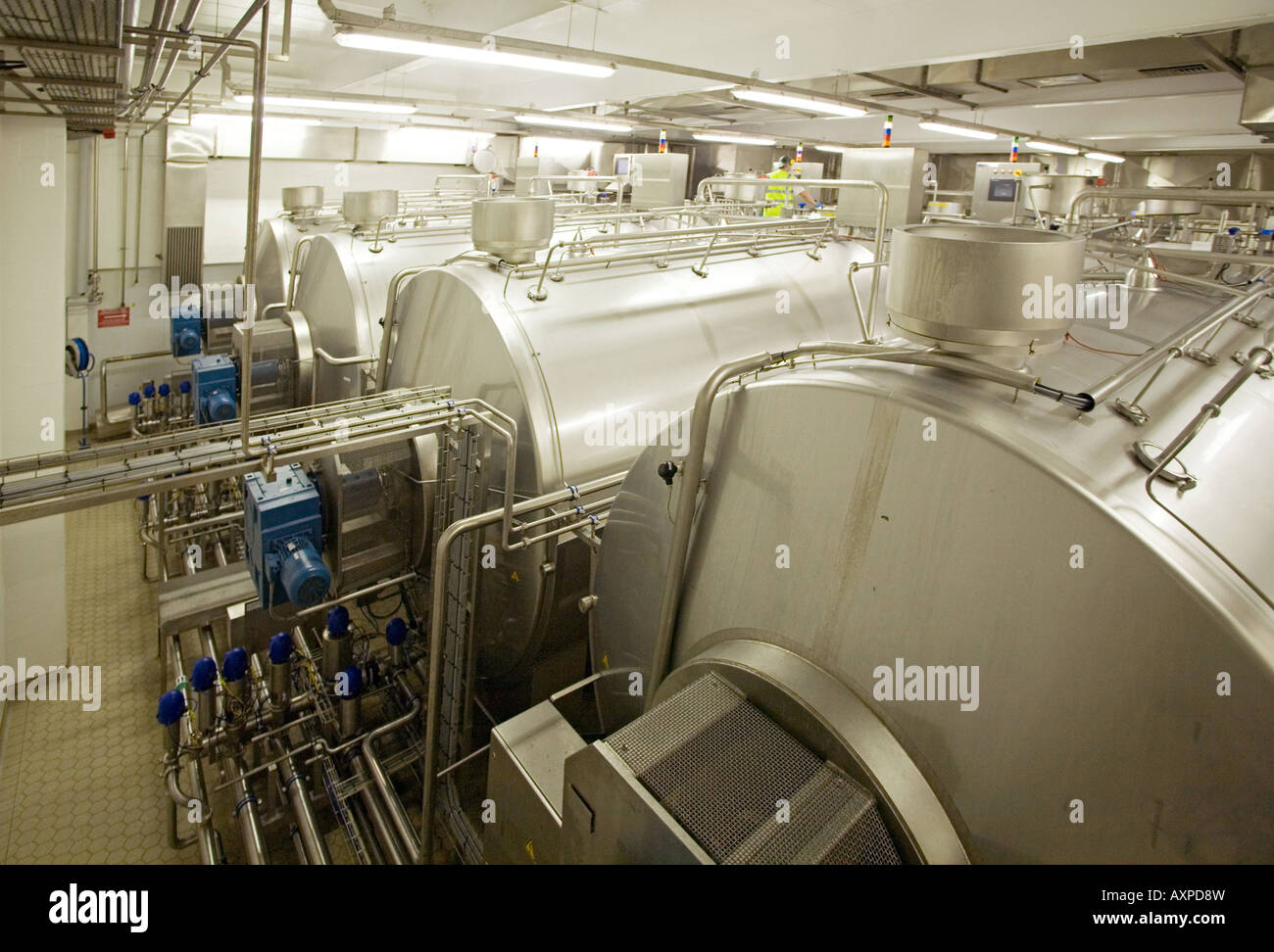 Large drums tanks Cheese factory processing plant. drums and pipes ...