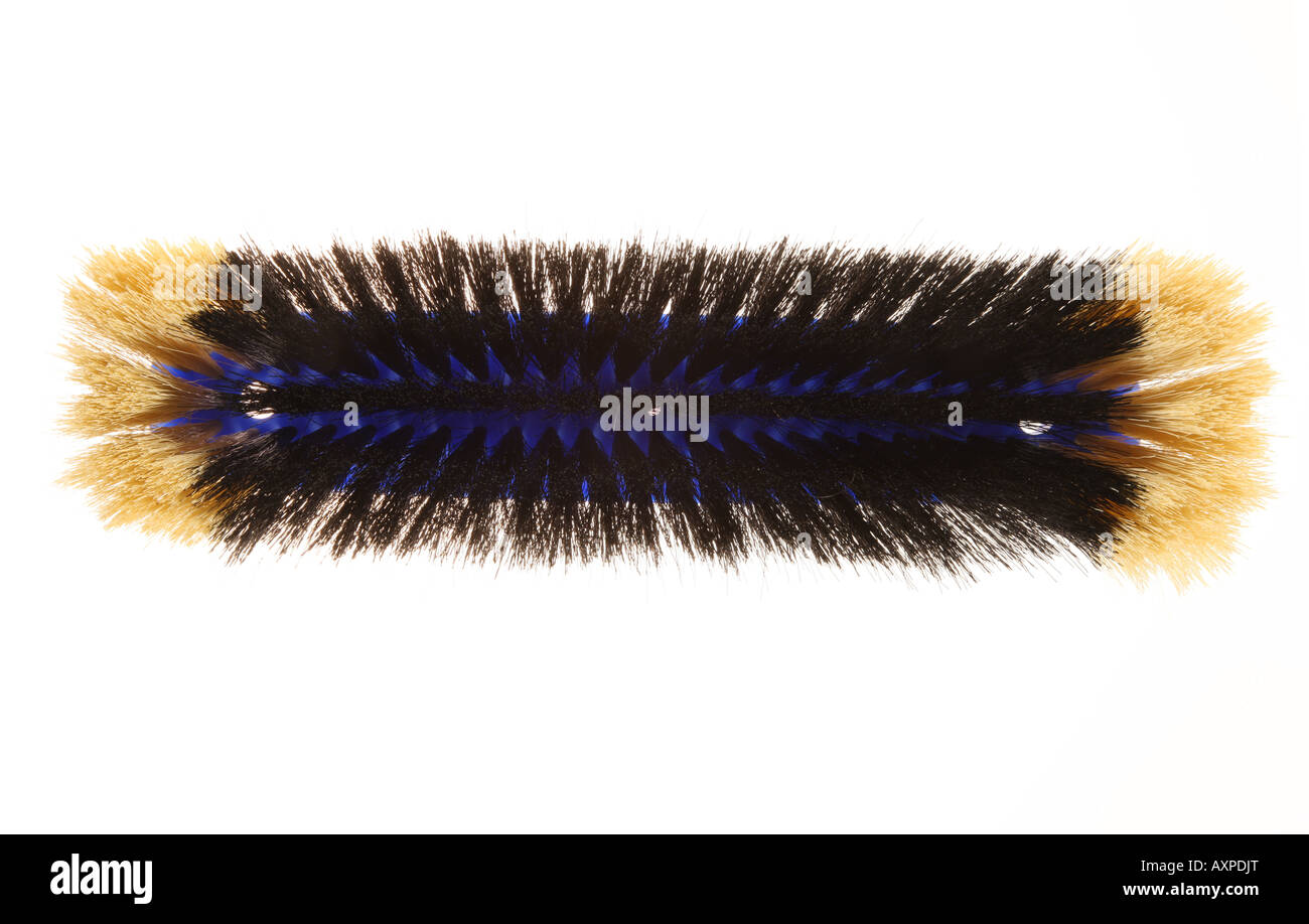 German broom Cut Out Stock Images & Pictures - Alamy