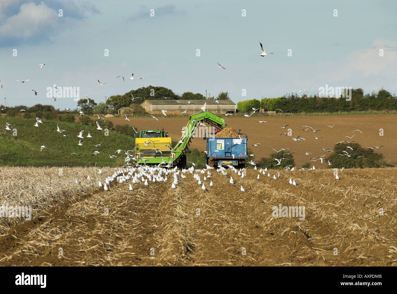 ouyb p8uh ytrd Stock Photo - Alamy