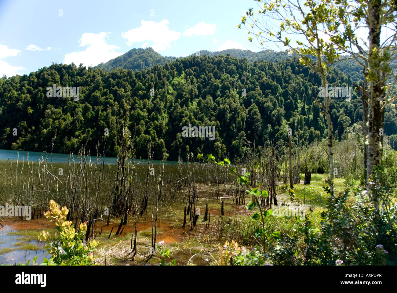 Chile Lake District Stock Photo - Alamy