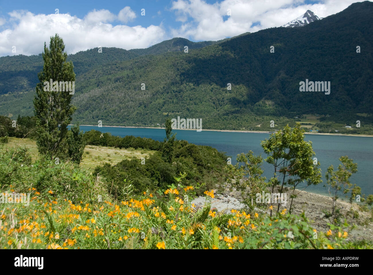 Chile Lake District Stock Photo - Alamy