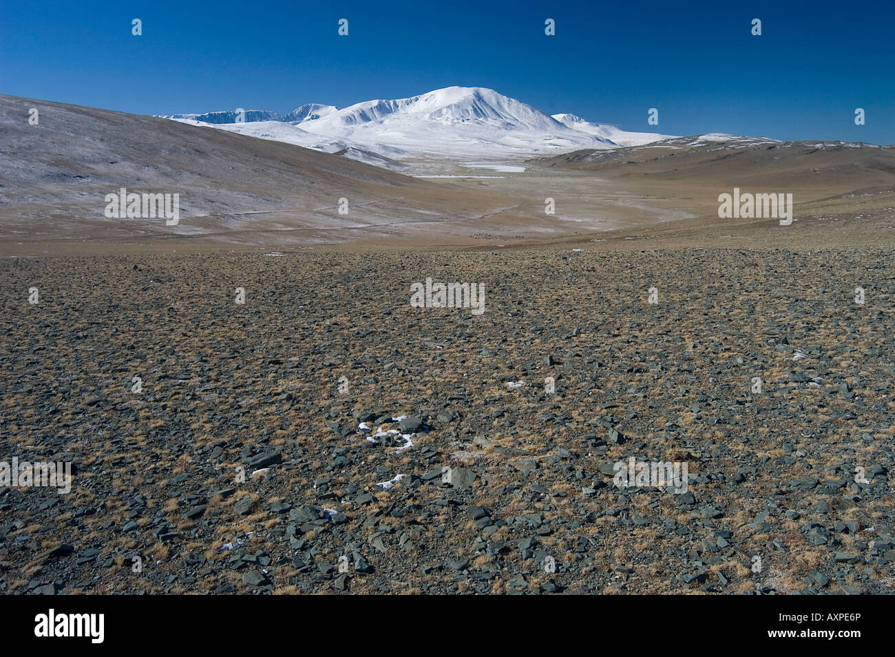 Tsambagarav Uul High Resolution Stock Photography and Images - Alamy