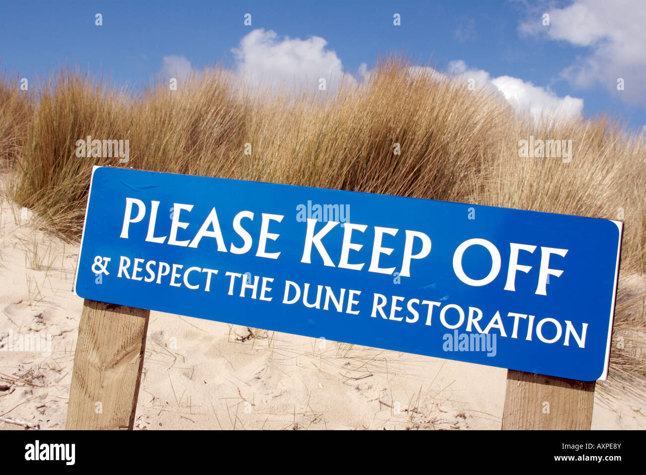 Sand dune restoration sign studland hi-res stock photography and images ...