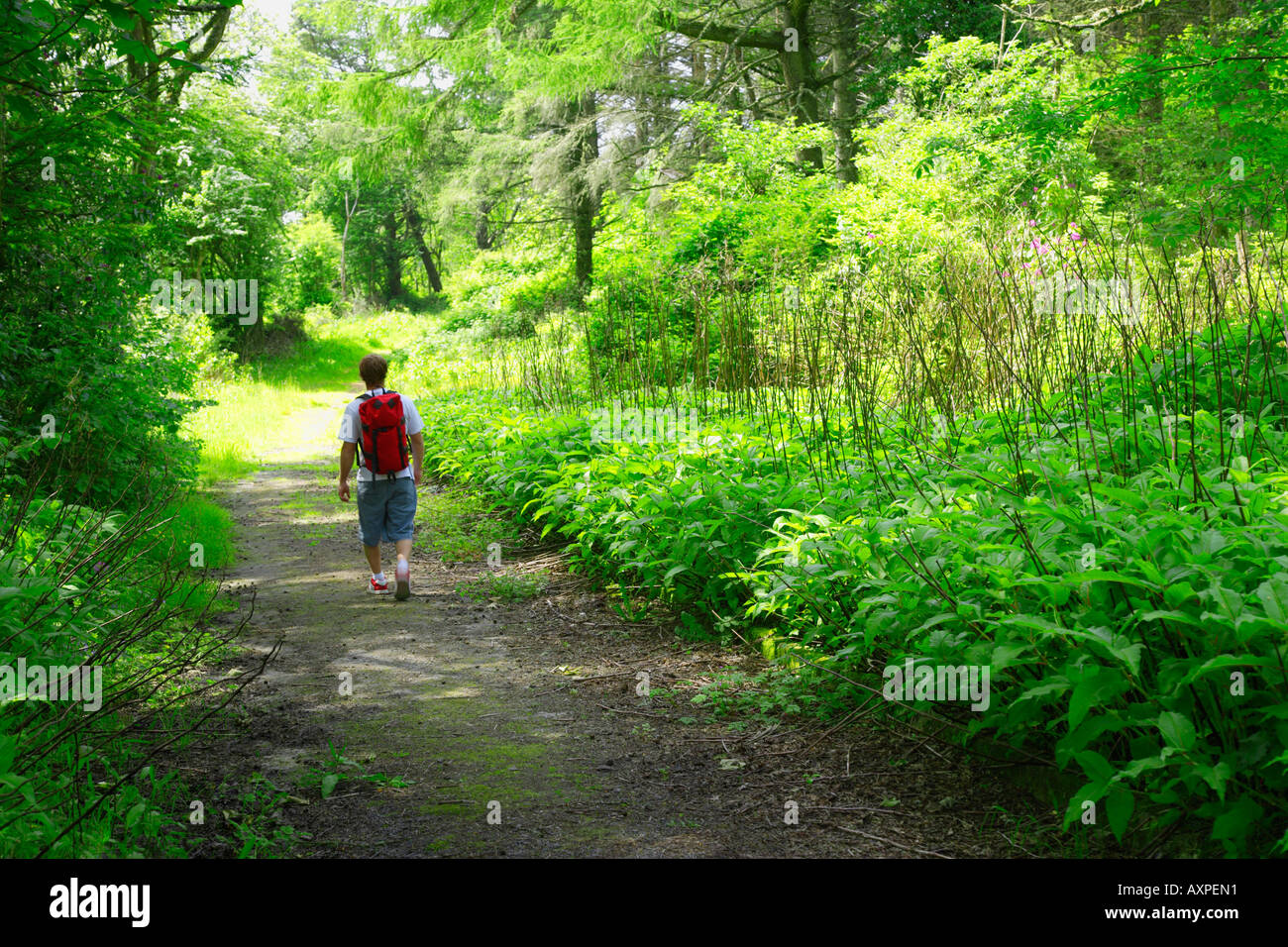 Ham5676 hi-res stock photography and images - Alamy