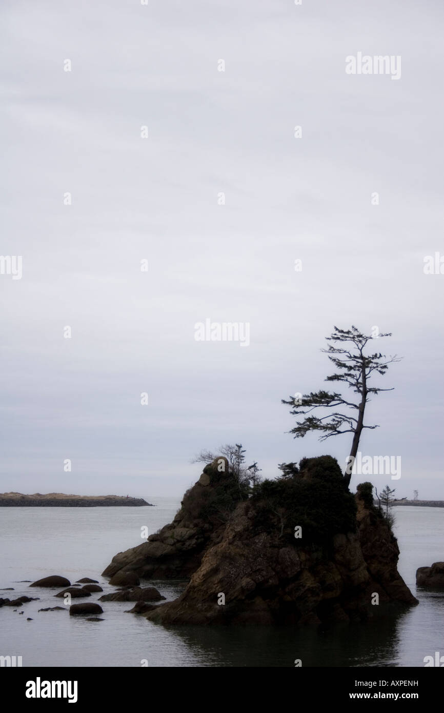 Garibaldi oregon coast hi-res stock photography and images - Alamy