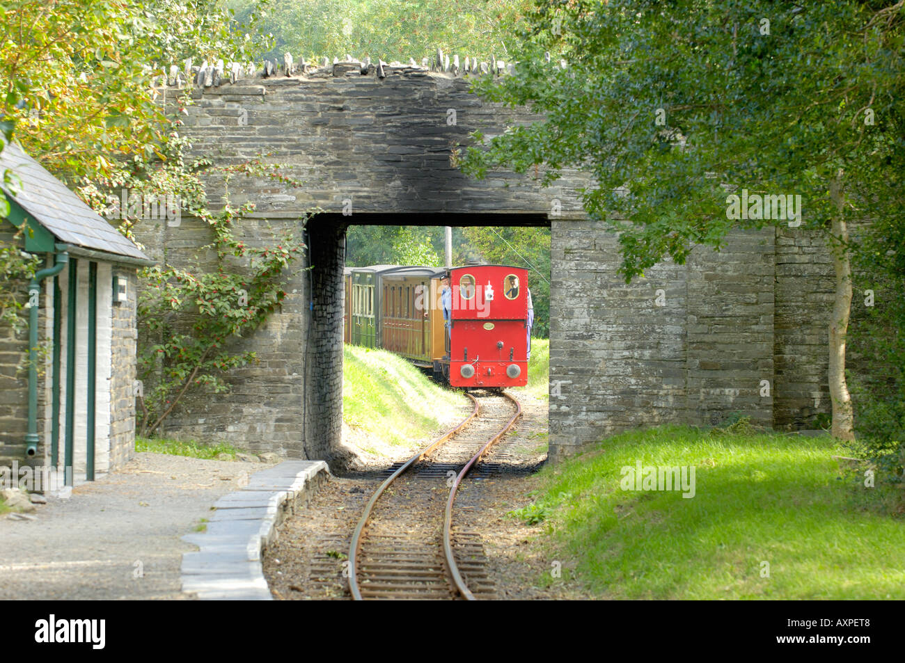 Steam Train approaching Rhydyronen Station Tal y llyn Railway North ...