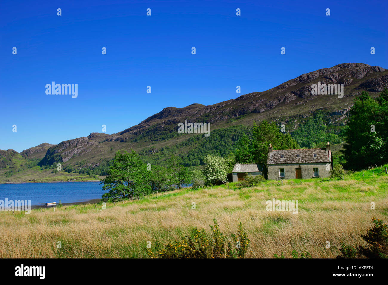 A rural scenic in Scotland Stock Photo - Alamy