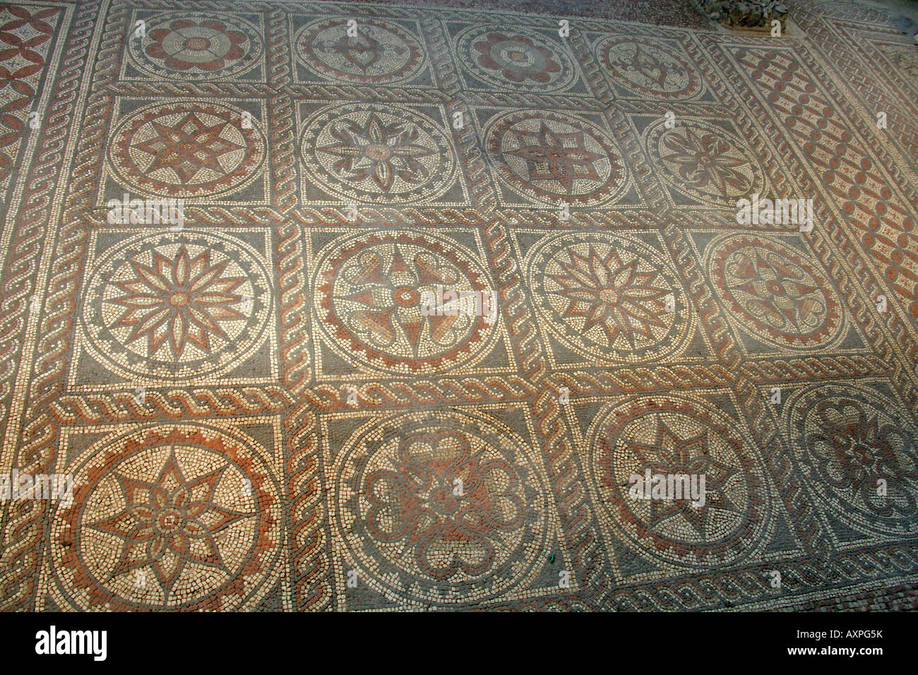 Mosaic Floor of a Roman Great House Circa Ad 140, Verulamium, St Albans ...