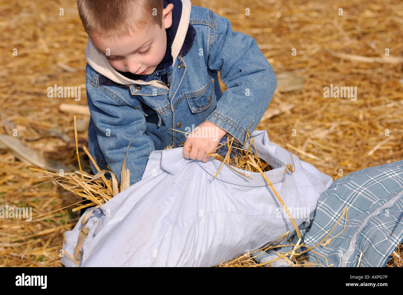 Young boy age 5 stuffing a shirt with straw to make a scarecrow at a ...