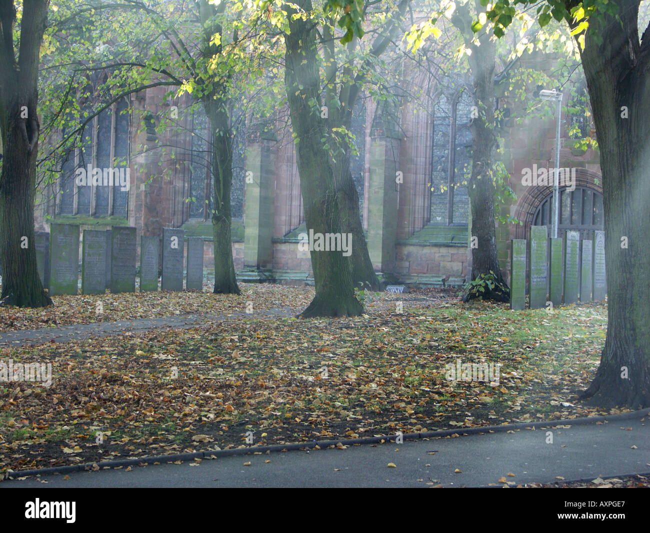 Wop outdoor leaves trees church building backlit hi-res stock ...