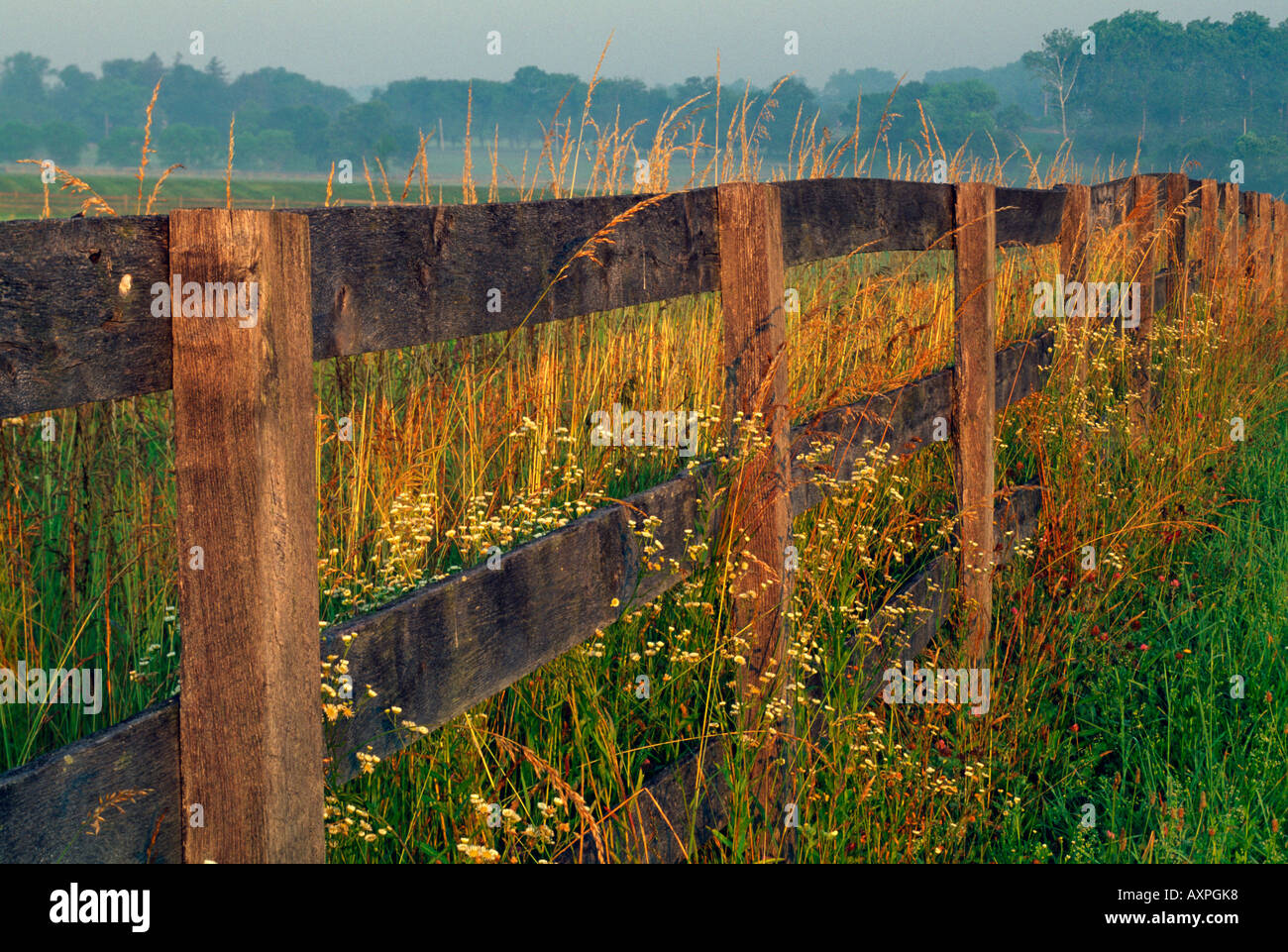 Fences fencelines hi-res stock photography and images - Alamy