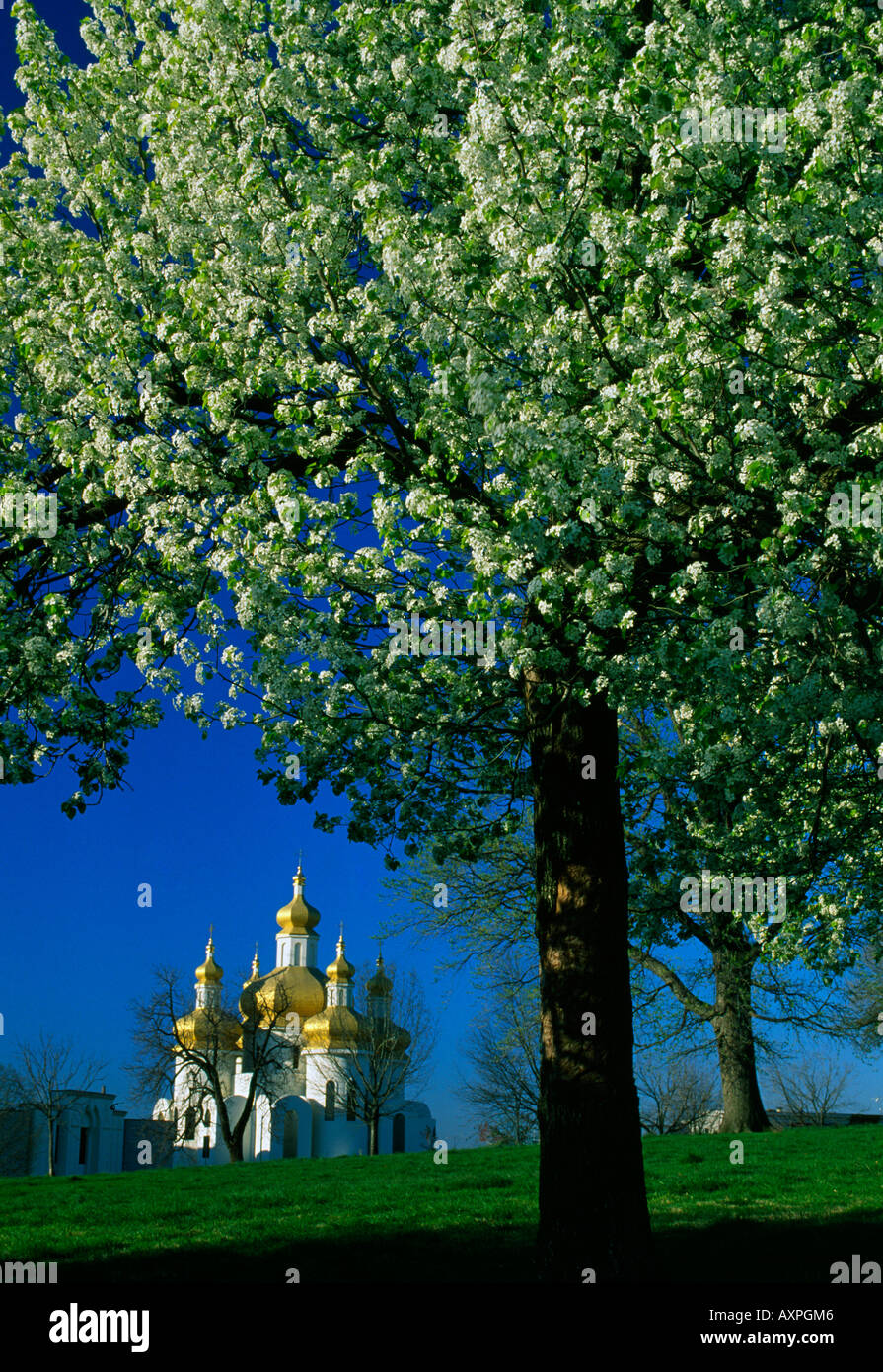 Framed temples hi-res stock photography and images - Alamy