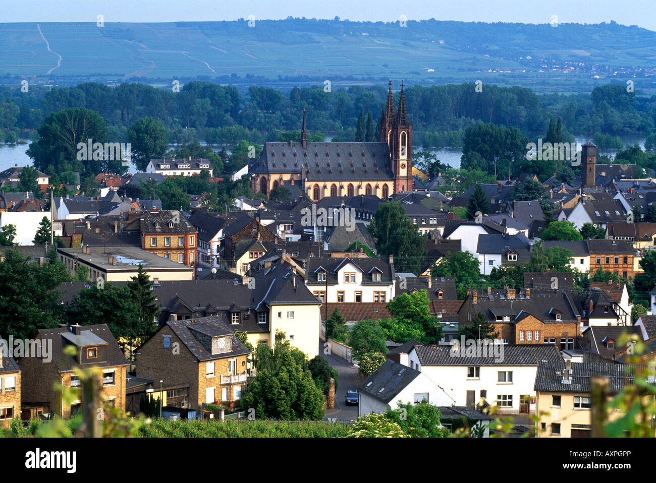Rheingauer minster hi-res stock photography and images - Alamy