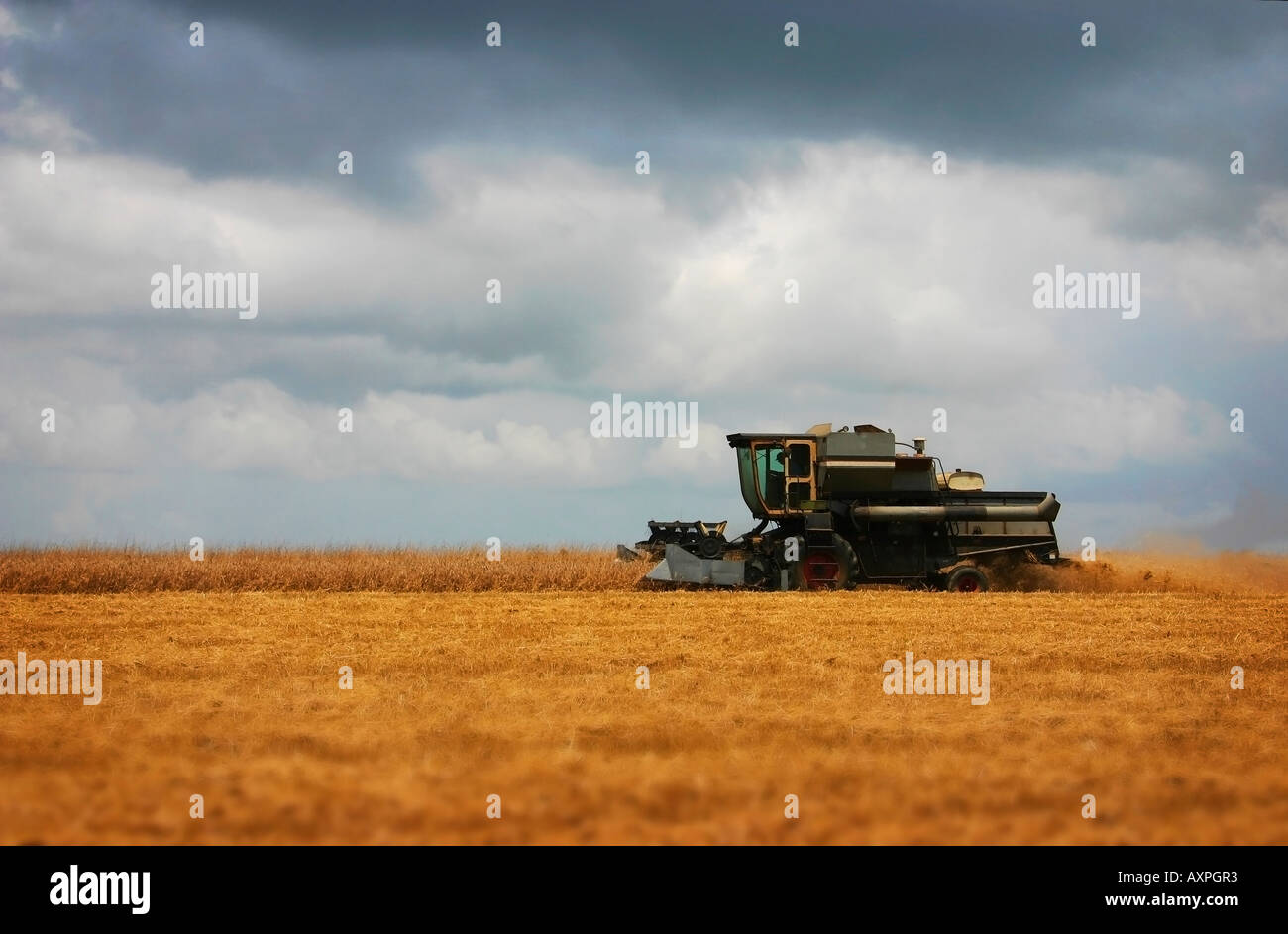 Louisiana rice harvesting hi-res stock photography and images - Alamy