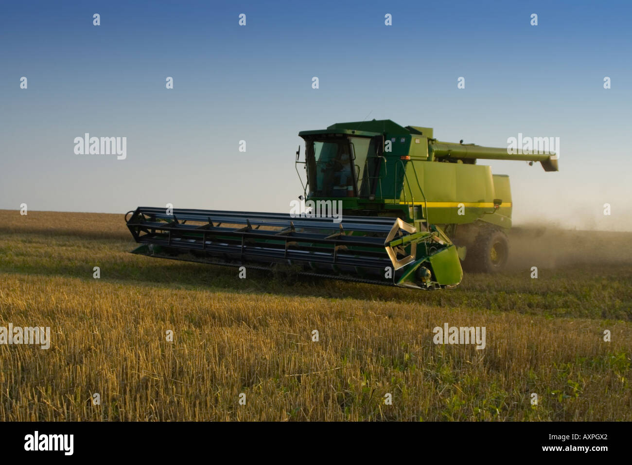 Combine harvesting wheat Stock Photo - Alamy