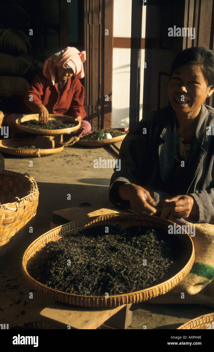 Women sorting tea leaves tea hi-res stock photography and images - Alamy