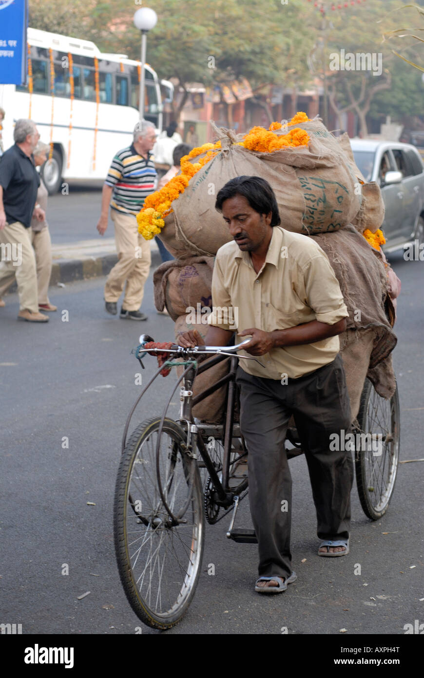 Man pushing a Rickshaw loaded with flower garlands in a Jaipur Street ...