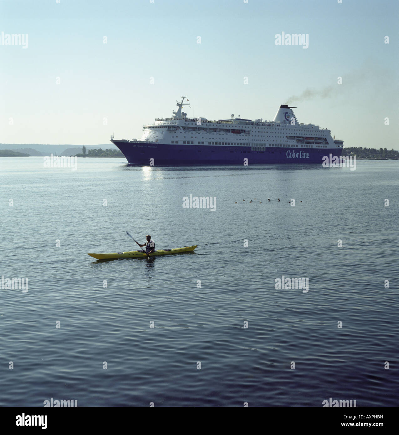Norway, Oslo, Bygdoy, view of Oslofjord with ferry boat and oarsman ...