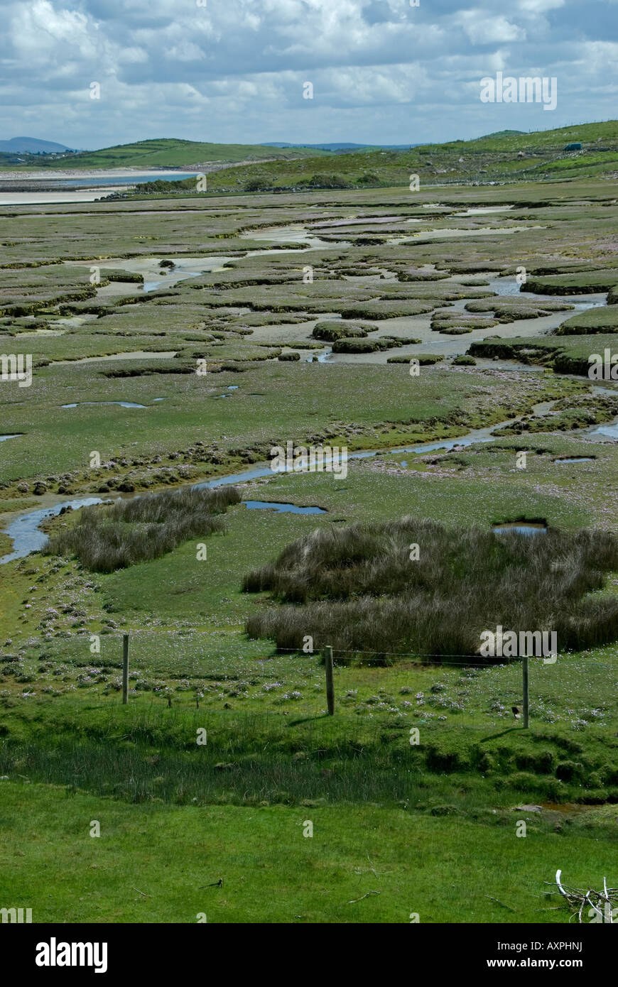 Salt marsh county mayo ireland hi-res stock photography and images - Alamy