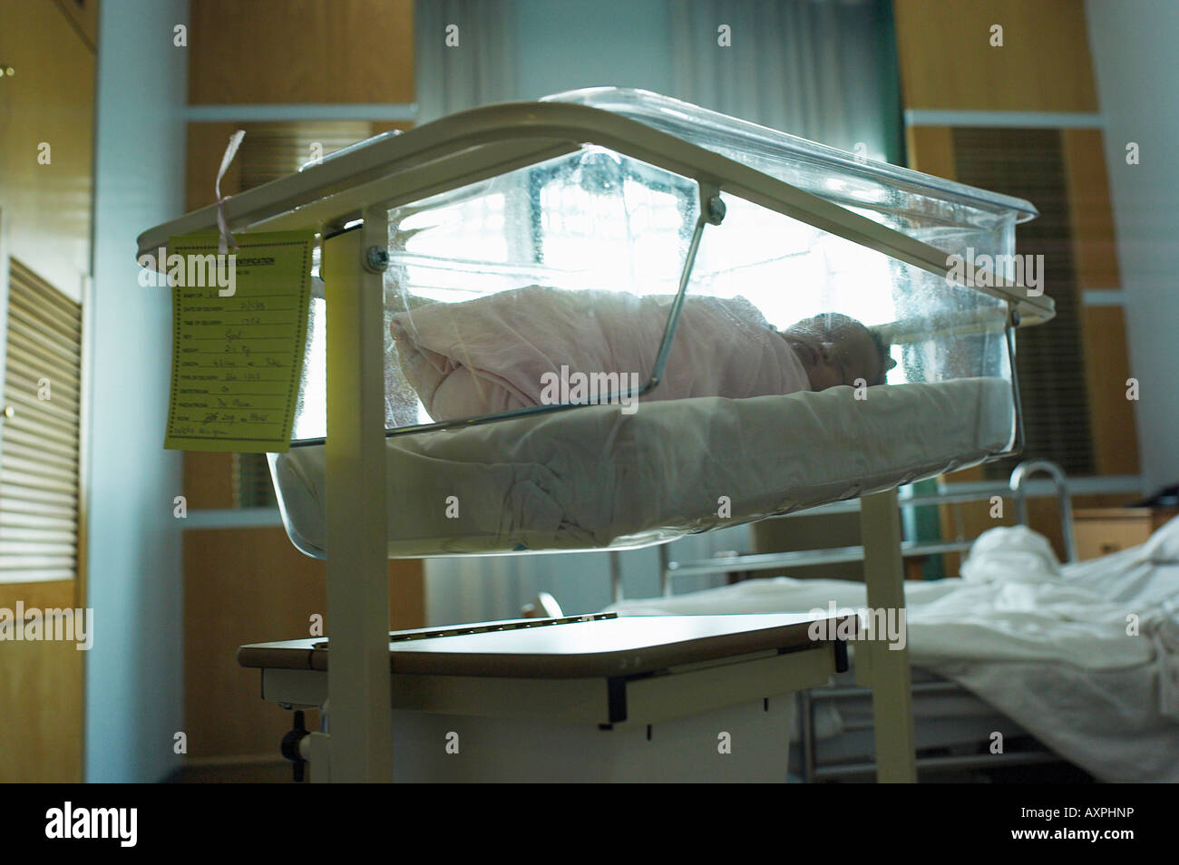 Newborn infants maternity ward hi-res stock photography and images - Alamy
