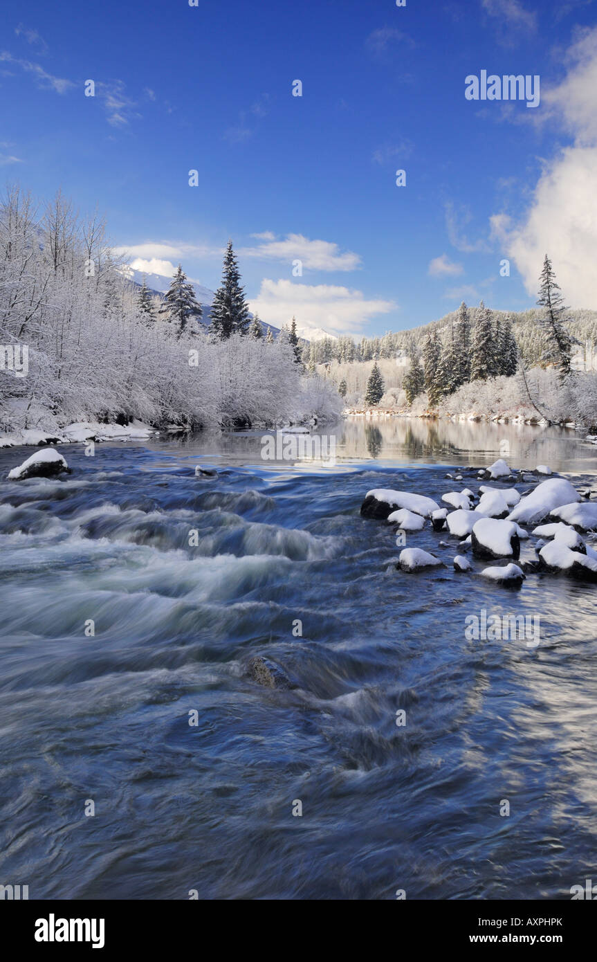 Miette River just west of Jasper townsite Jasper National Park Alberta ...