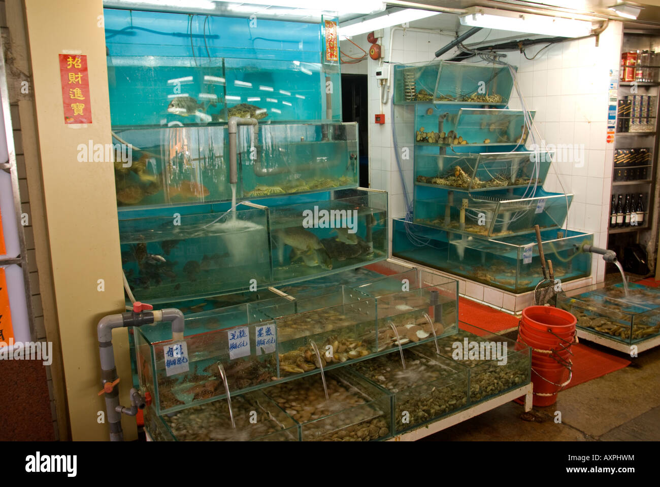Seafood tank hi-res stock photography and images - Alamy