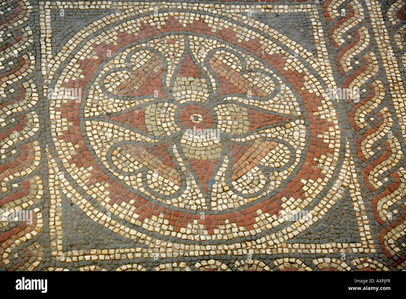 Detail of a Mosaic Floor of a Roman Great House Circa Ad 140 ...