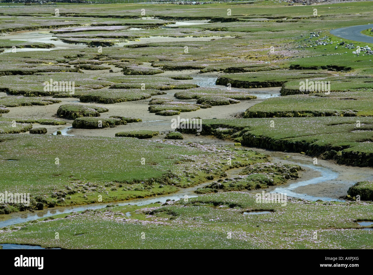 Salt Marsh at Mulranny, County Mayo, Ireland Stock Photo - Alamy
