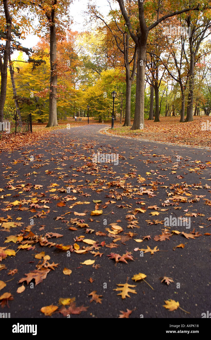 Ramble central park hi-res stock photography and images - Alamy