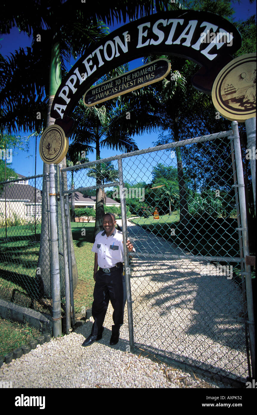 Appleton estate jamaica hi-res stock photography and images - Alamy