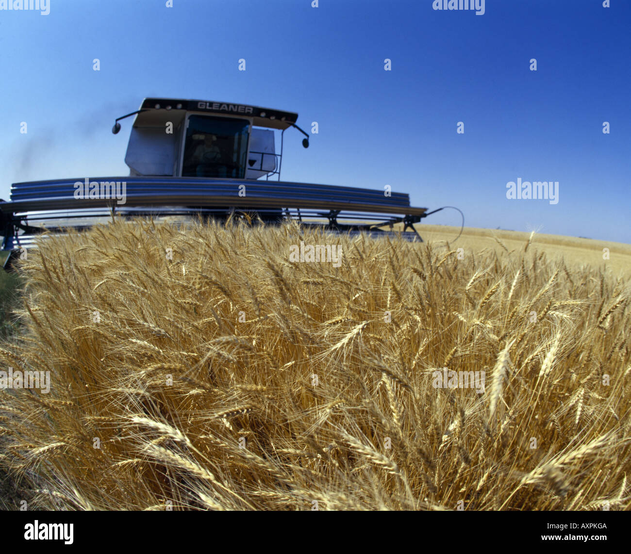 Combining crops hi-res stock photography and images - Alamy
