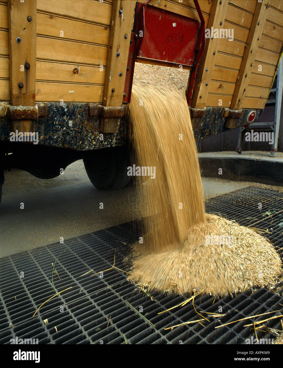 Dumping grain hi-res stock photography and images - Alamy