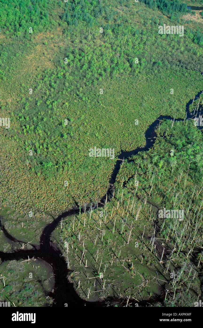 Aerial view of meandering brook hi-res stock photography and images - Alamy