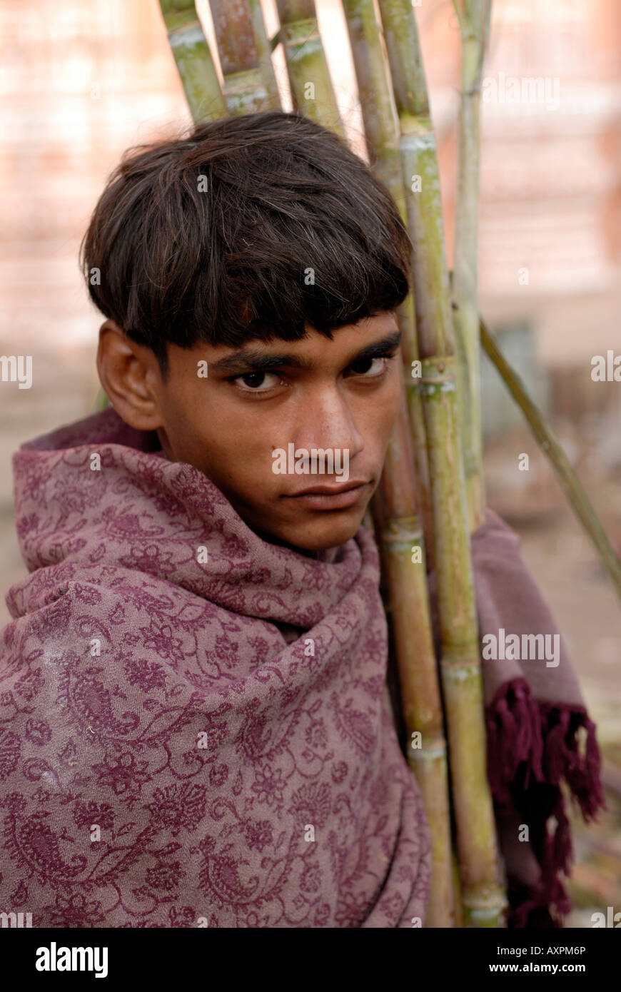 Close up portrait of boy selling sugar cane in Jaipur Rajasthan prior ...