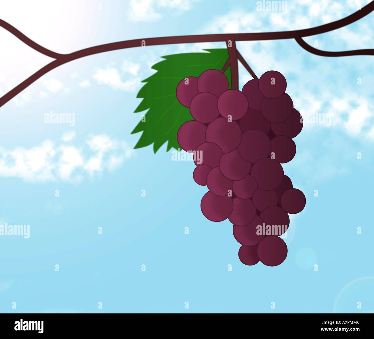 Clipart De Raisins Rouges