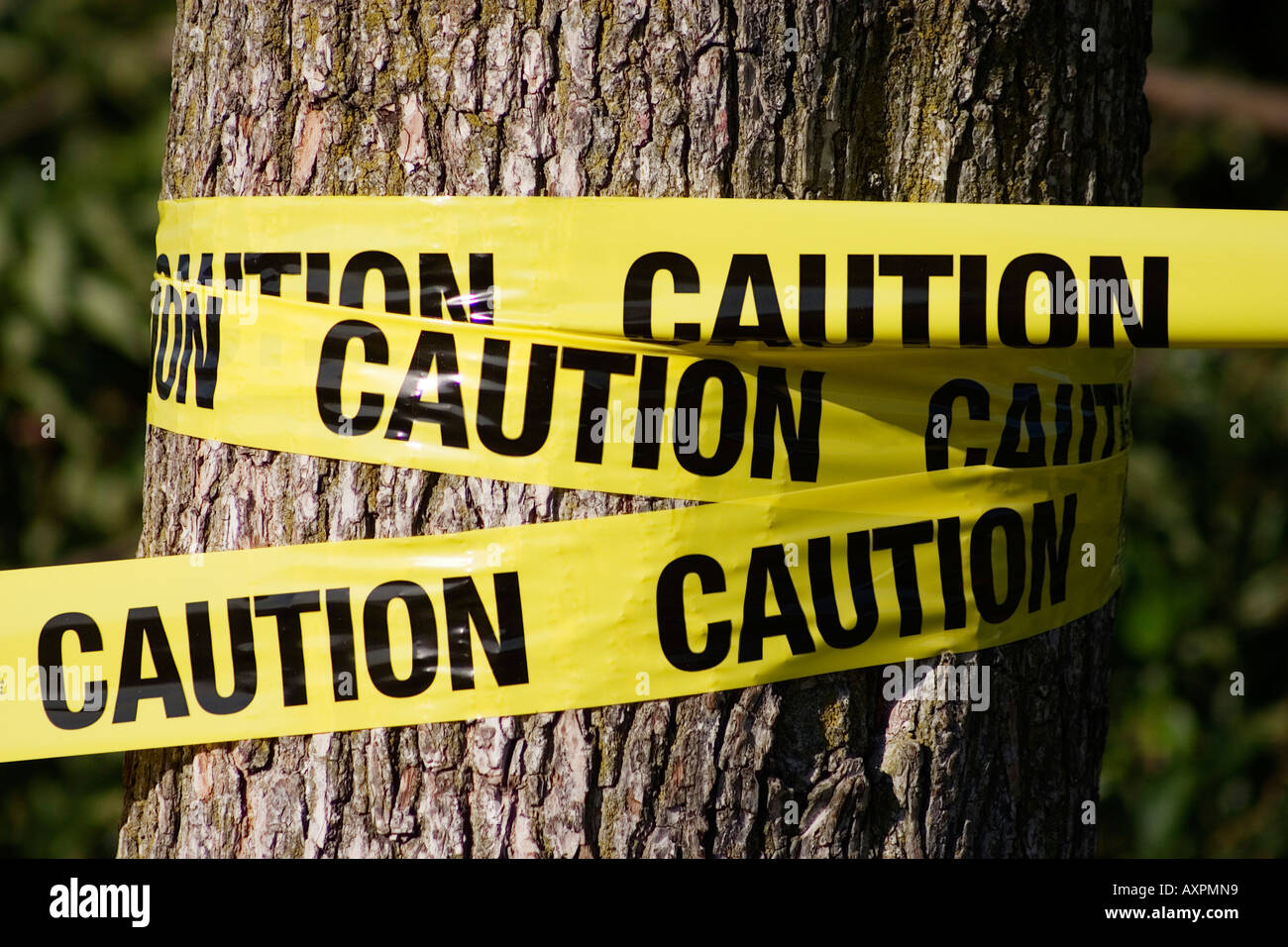 Caution tape wrapped around tree Stock Photo - Alamy