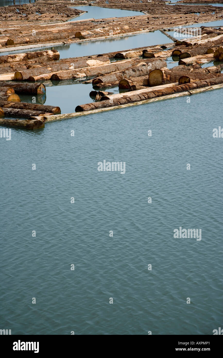 Floating Log Transportation Stock Photo - Alamy