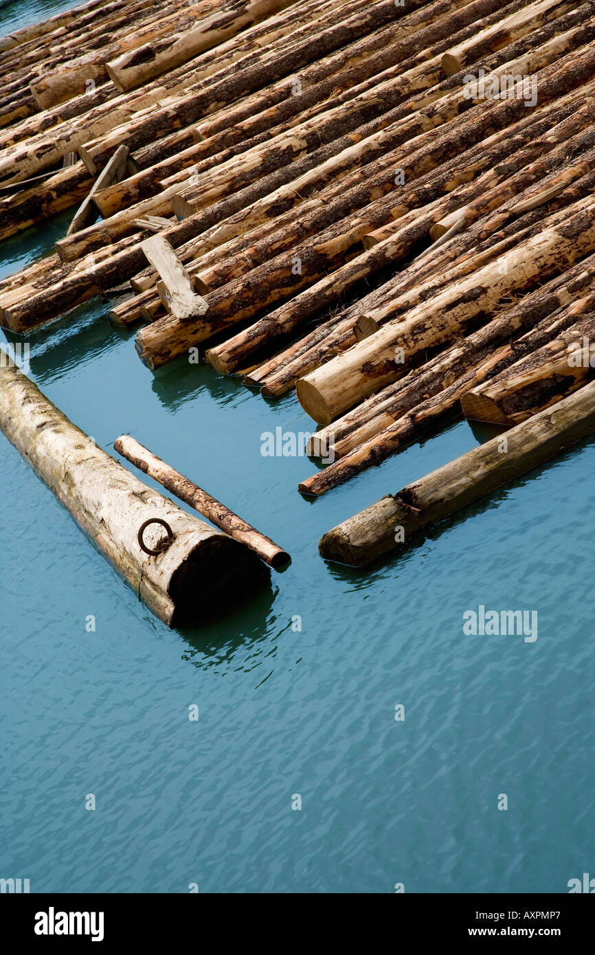Timber logs in water hi-res stock photography and images - Alamy
