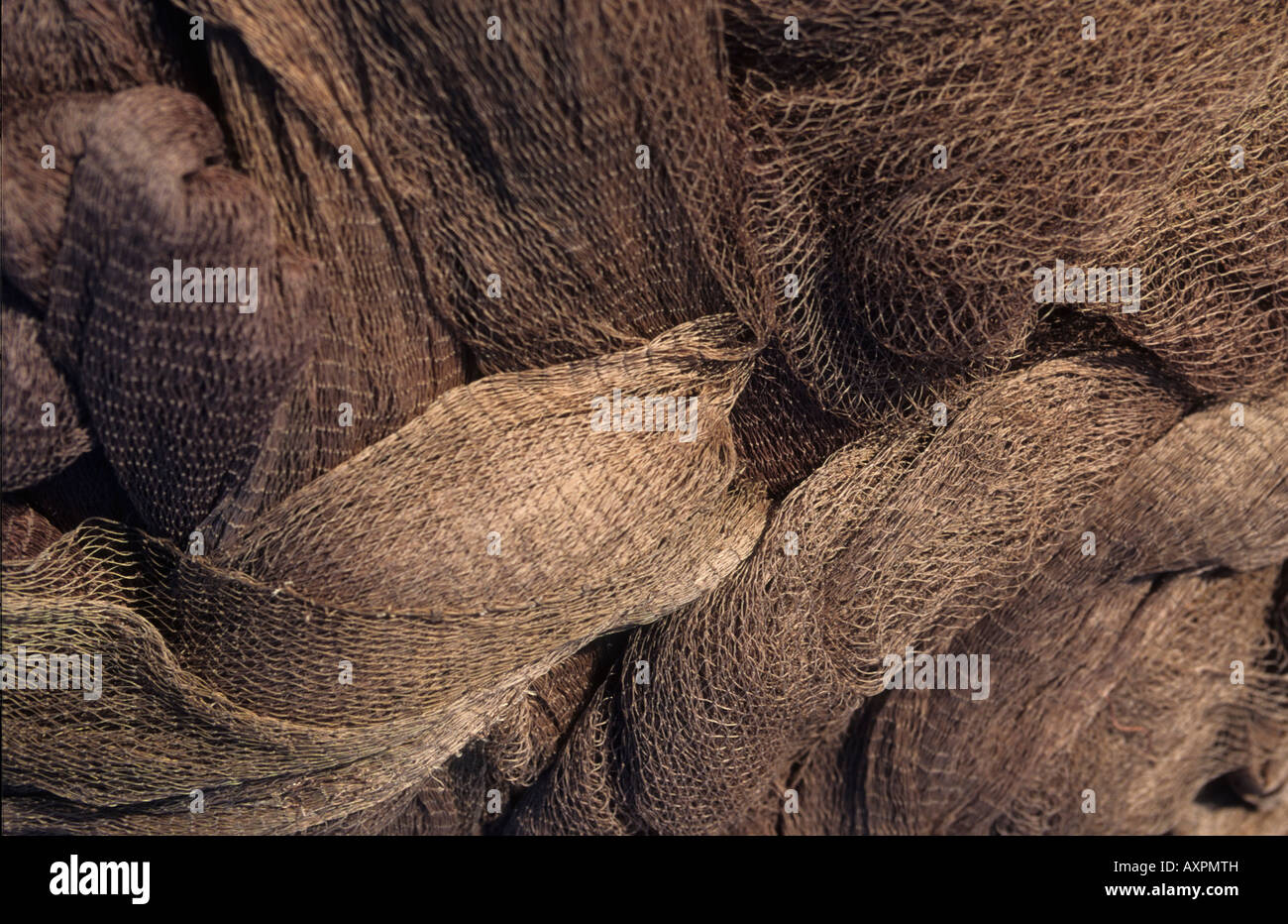 Filets bleu hi-res stock photography and images - Alamy