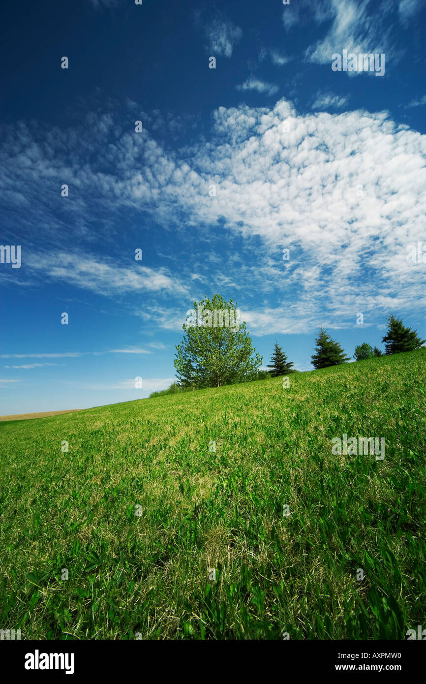 Wide open scenic Stock Photo - Alamy
