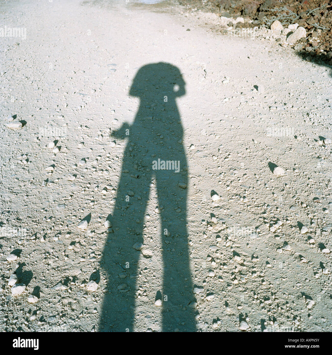 Self ground hi-res stock photography and images - Alamy