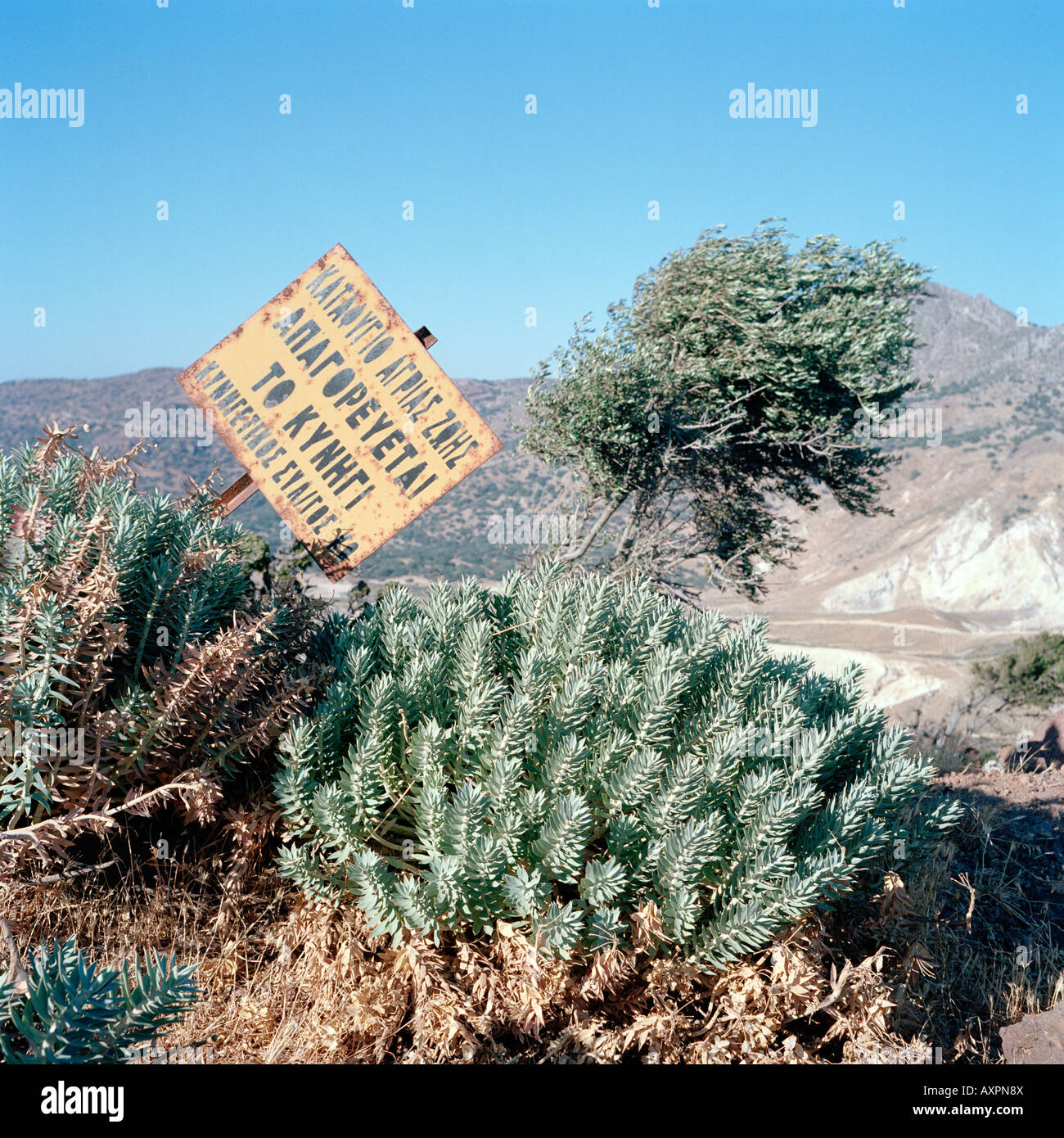 Windblown bushes hi-res stock photography and images - Alamy